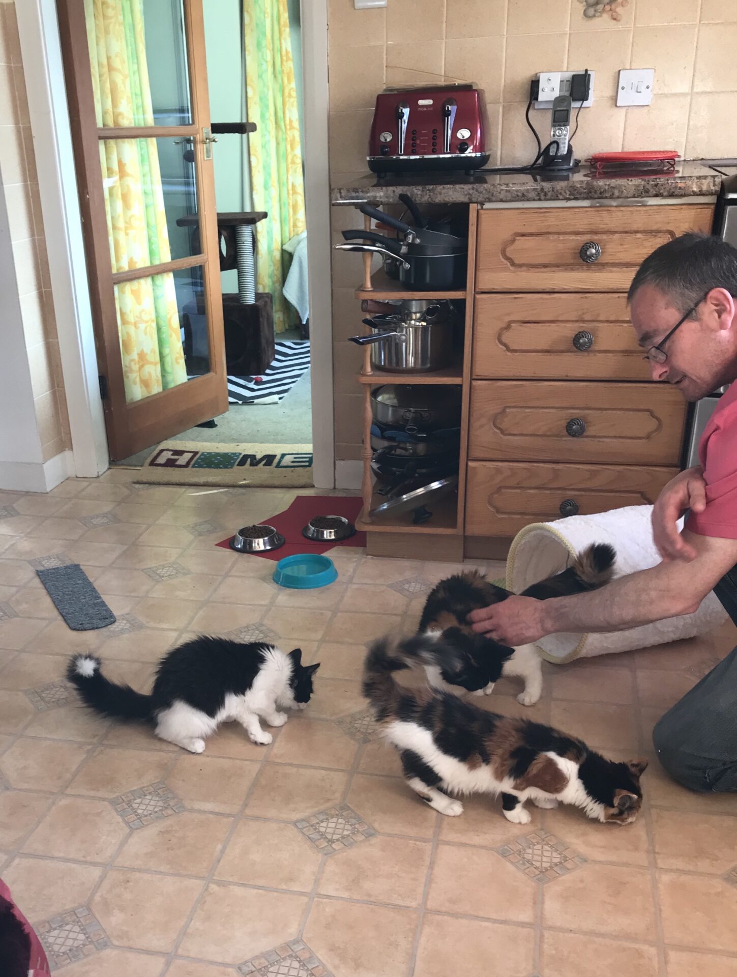 Welcome - Pet Assist Animal Care | Scarborough